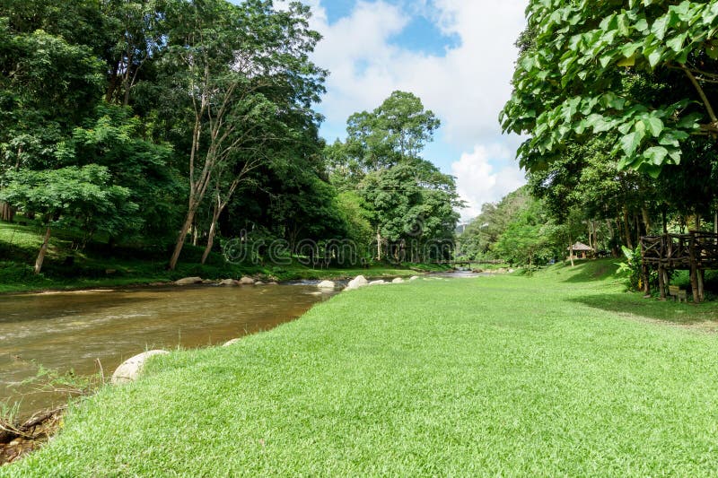 Green Lawn Landscape with Big Tree and Stream River Stock Photo - Image ...