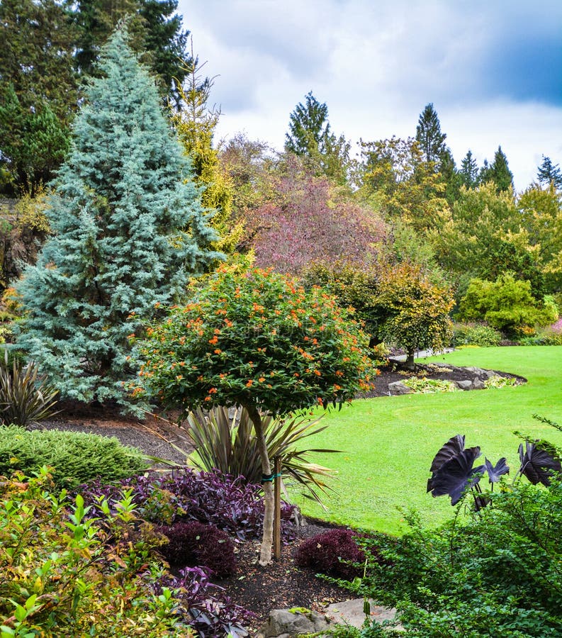 Green Lawn in a Park Decorated with Trees Around Stock Photo - Image of ...