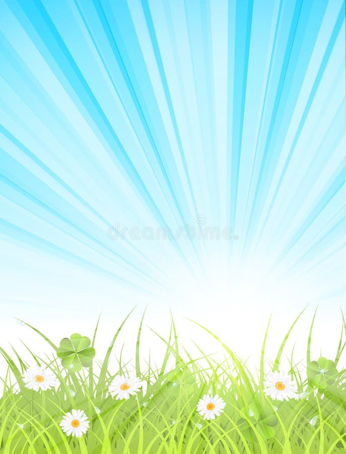 Green Lawn in Spring Morning Stock Vector - Illustration of cloverleaf ...