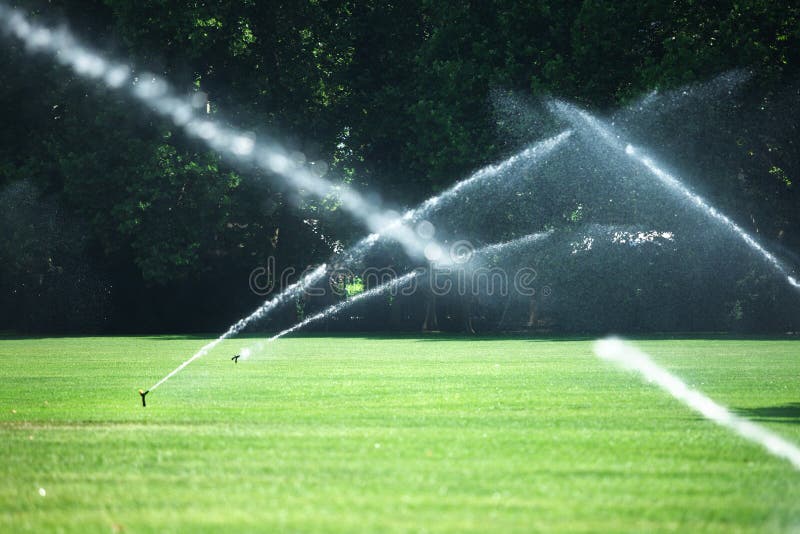Green Lawn Sprinkled with Automatic Sprinkler Stock Image - Image of ...
