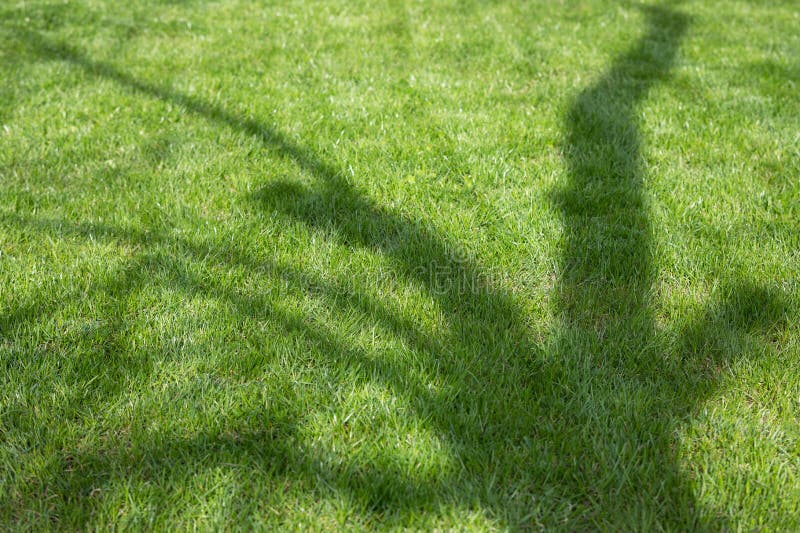 Green lawn under trees stock image. Image of landscape - 217560867