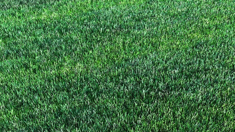 Green Lawn is Unfolding. 3d Animation for Ecology and Gardens Stock ...