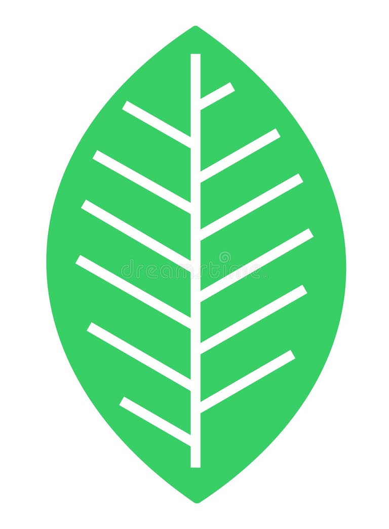 Curved Green Leaf Stock Illustrations – 8,454 Curved Green Leaf Stock ...