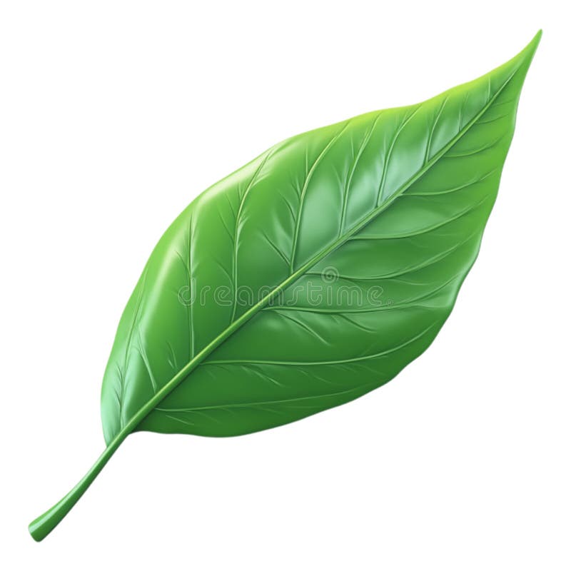 Green Leaf Against Transparent Background for Ecofriendly and ...