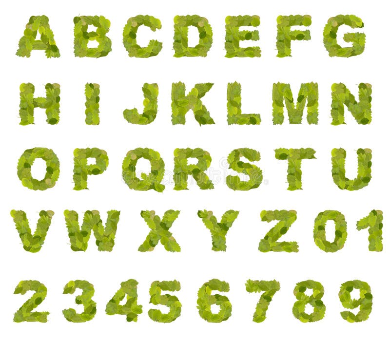 Green leaf alphabet stock photo. Image of organic, green - 18439134
