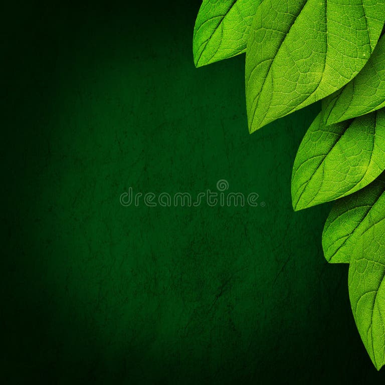 Green leaf background stock illustration. Illustration of detail - 19130794