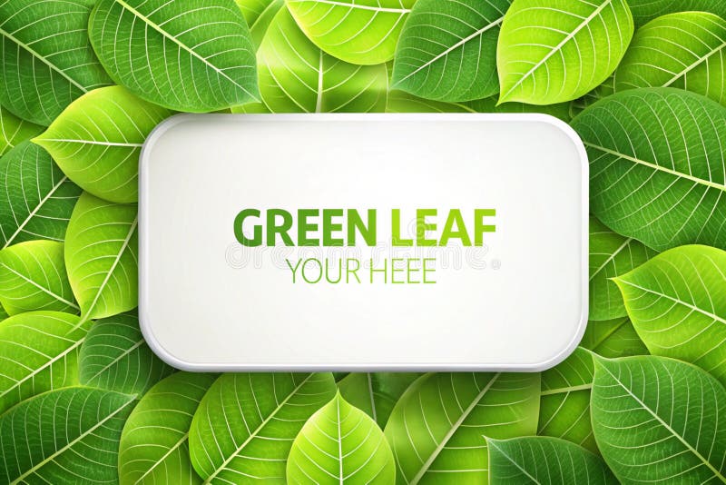 Green Leaf Background Layout with White Round Corners Shape. Nature ...