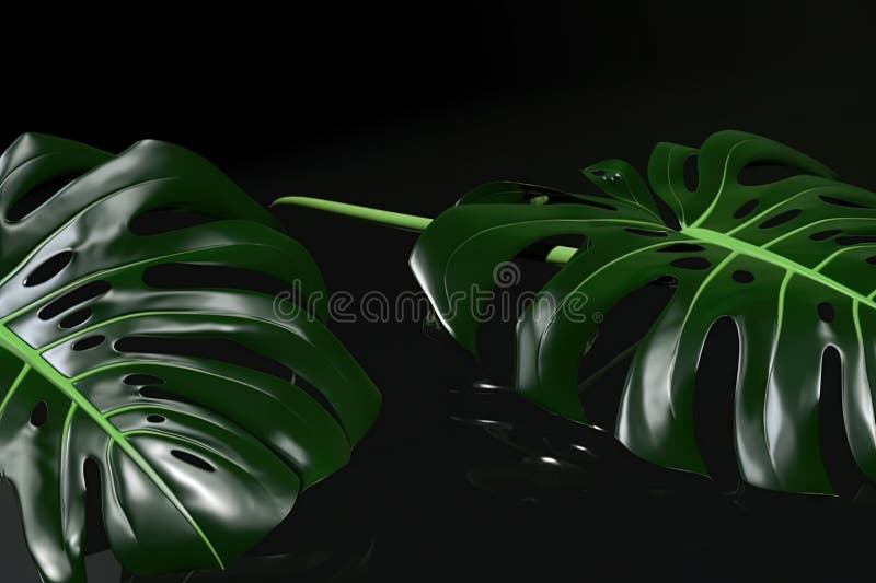 A Green Leaf on a Black Background with a Reflection of the Leaves on ...
