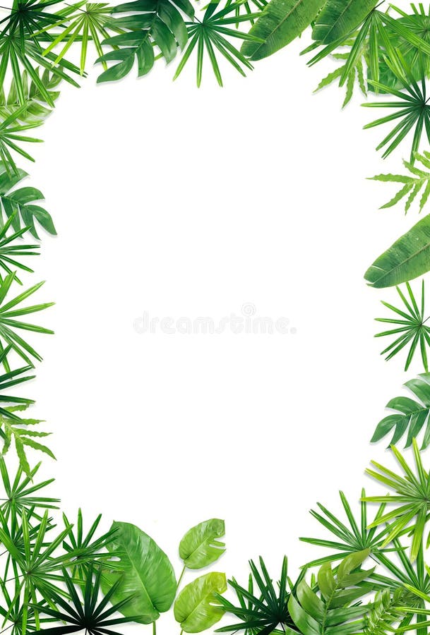 Green Leaf Border Background Stock Image - Image of bamboo, frame: 81665385