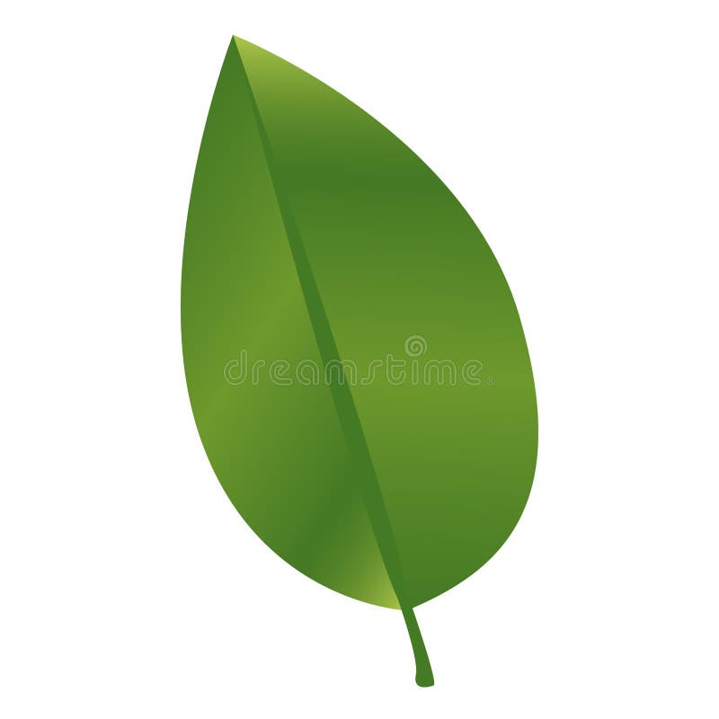 Green Leaf with Branch Nature Icon Stock Illustration - Illustration of ...