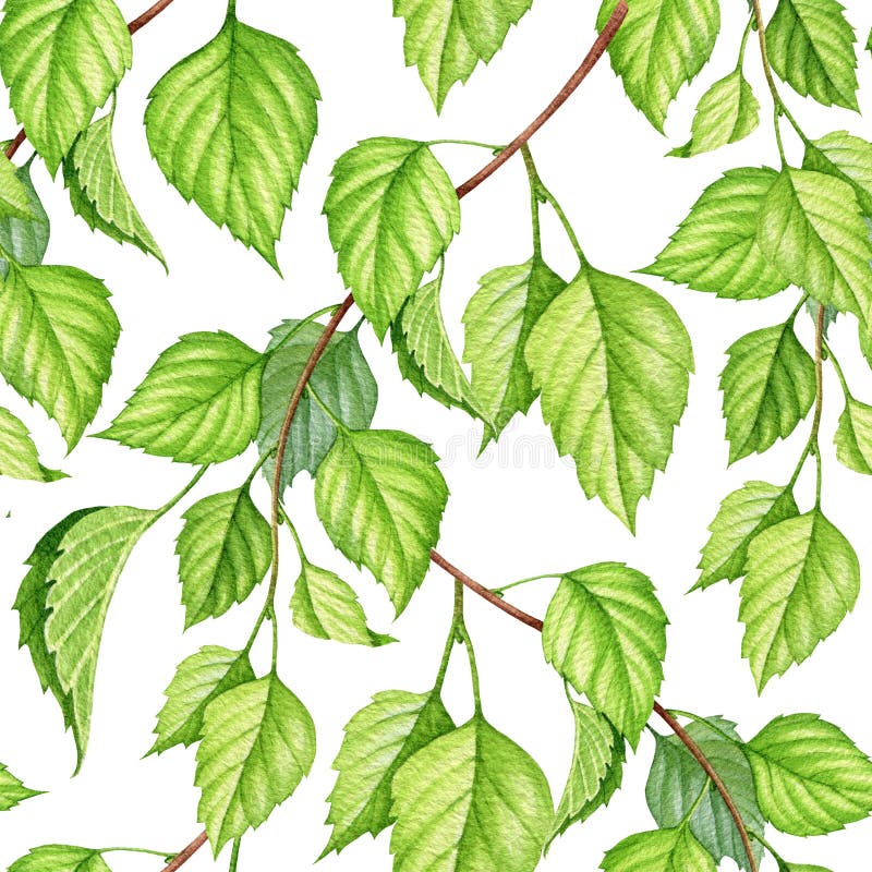 Green Leaf with Branches Seamless Pattern. Watercolor Illustration ...