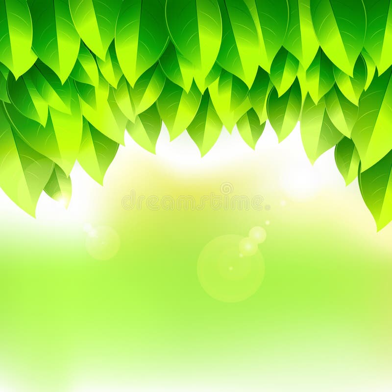 Green Leaf design stock vector. Illustration of leaf - 44417145