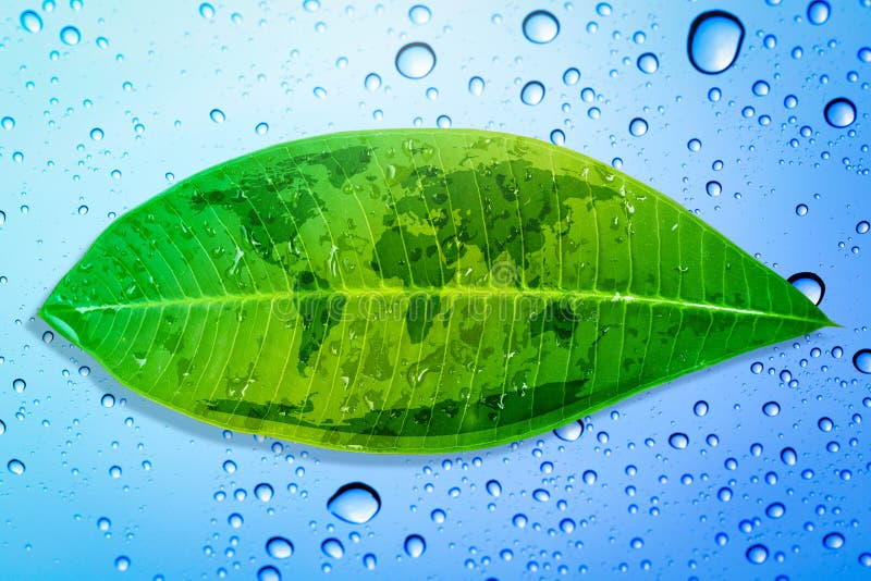 Green Leaf Environment Concept Save the Earth. Stock Illustration ...