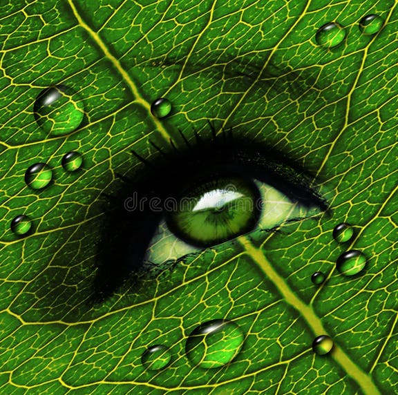 Green leaf eye stock photo. Image of spring, color, human - 29895552