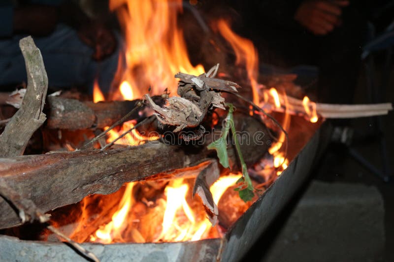 Green leaf on fire stock photo. Image of nature, green - 175751942