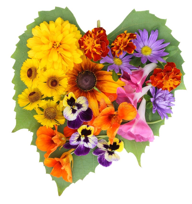 Green leaf with flowers stock image. Image of plant, blue - 15632873