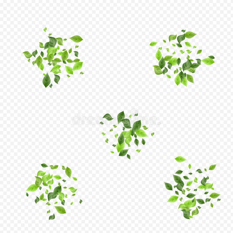 Green Leaf Flying Vector Transparent Background Stock Vector ...