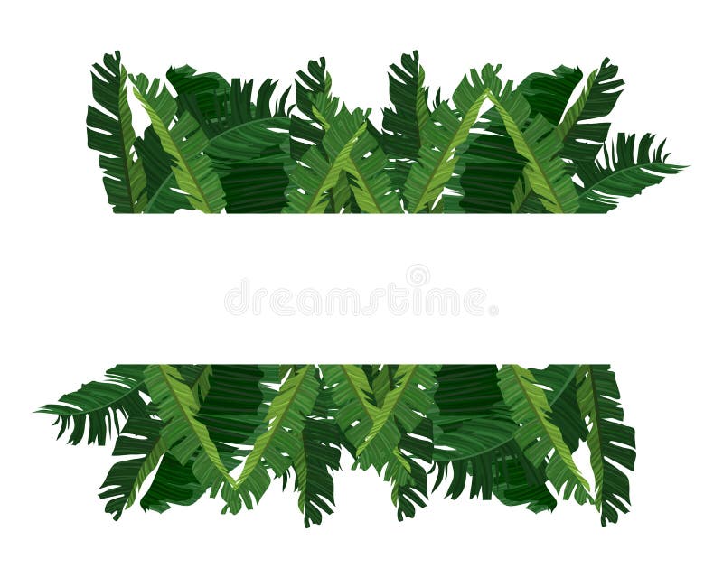 Green Leaf Frame with Banana Leaves High Resolution Stock Vector ...