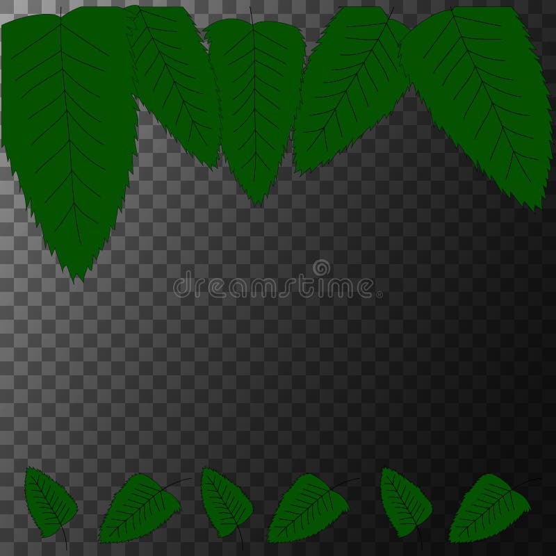 Green Fresh Summer Foliage Vector Frame Background Stock Illustrations ...