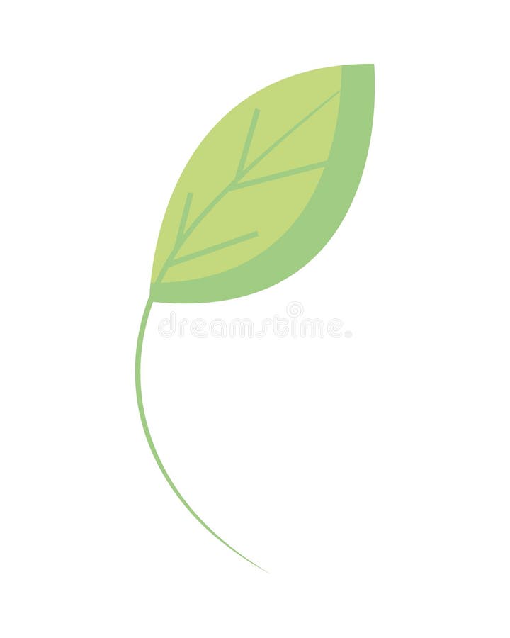Green leaf icon stock vector. Illustration of flat, isolation - 255461614