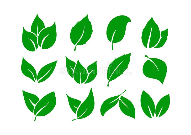 Green Leaf Icon Set. Green Leaf Collection. Elements Design for Natural ...