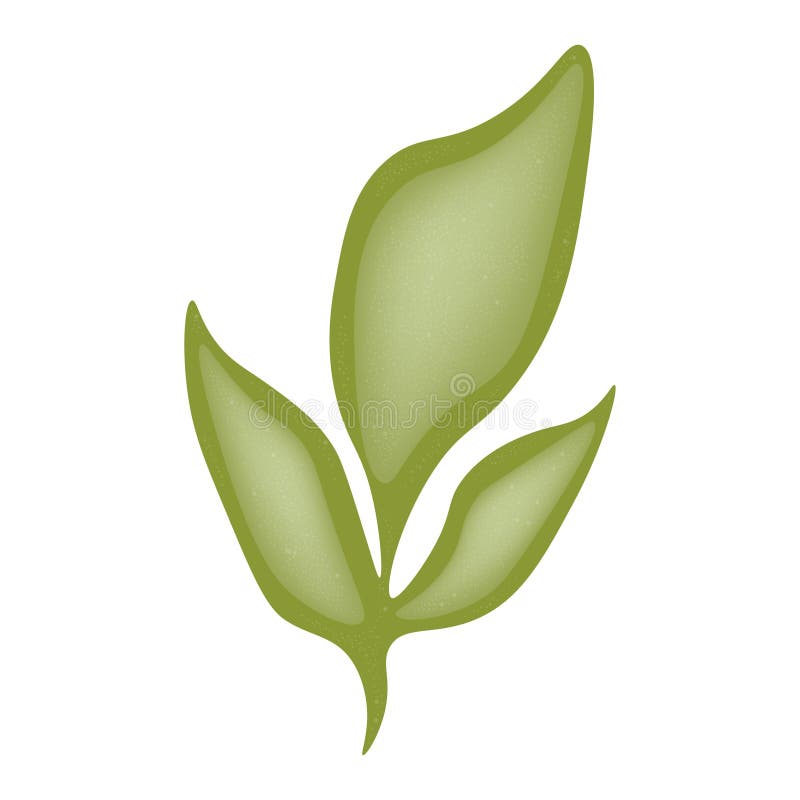 Green Leaf Isolated on White Background with 3D Effect, Stock Vector ...