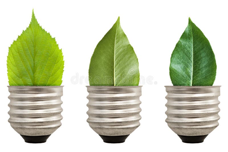 Green leaf light bulb stock photo. Image of object, ecology - 56357580
