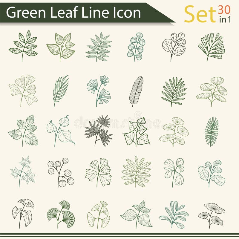 Green Leaf Line Icon Set - Vector Stock Vector - Illustration of ...