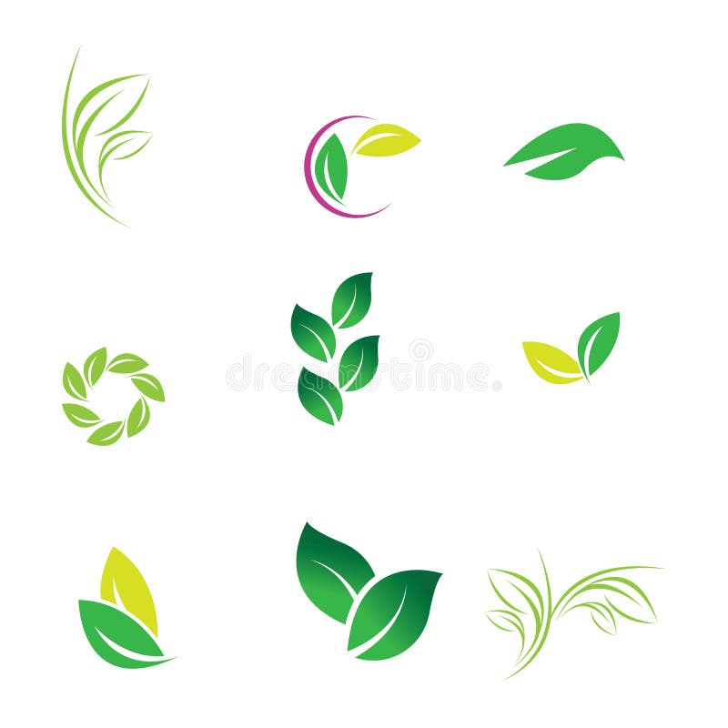 Leaf stock vector. Illustration of natural, plant, abstract - 211668726