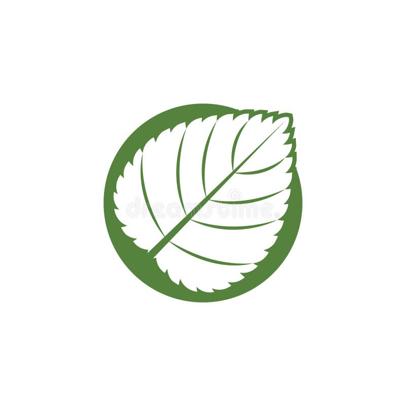 Green Leaf Logo Vector Element Symbol Template Stock Vector ...