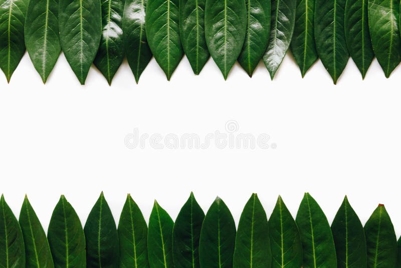 169 Pointy Border Photos - Free & Royalty-Free Stock Photos from Dreamstime