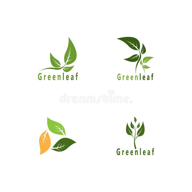 Green Leaf Nature Plant Conceptual Symbol Vector Illustration Stock ...