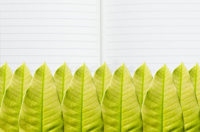 Green leaf and paper stock image. Image of leaf, abstract - 23734779