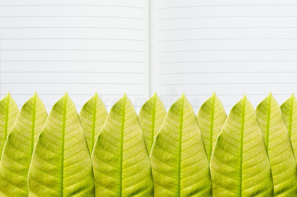 Green leaf and paper stock image. Image of leaf, abstract - 23734779