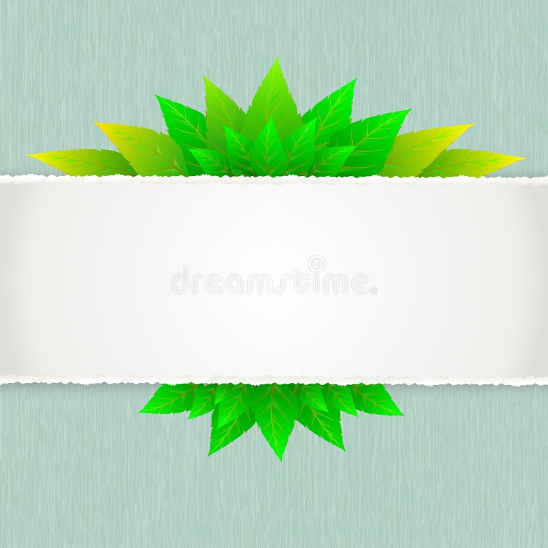 Green Leaf with Paper Background Stock Vector - Illustration of bright ...