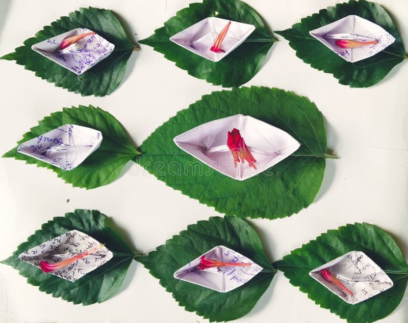 Green Leaf and Paper Design, Stock Image - Image of pink, food: 222888977