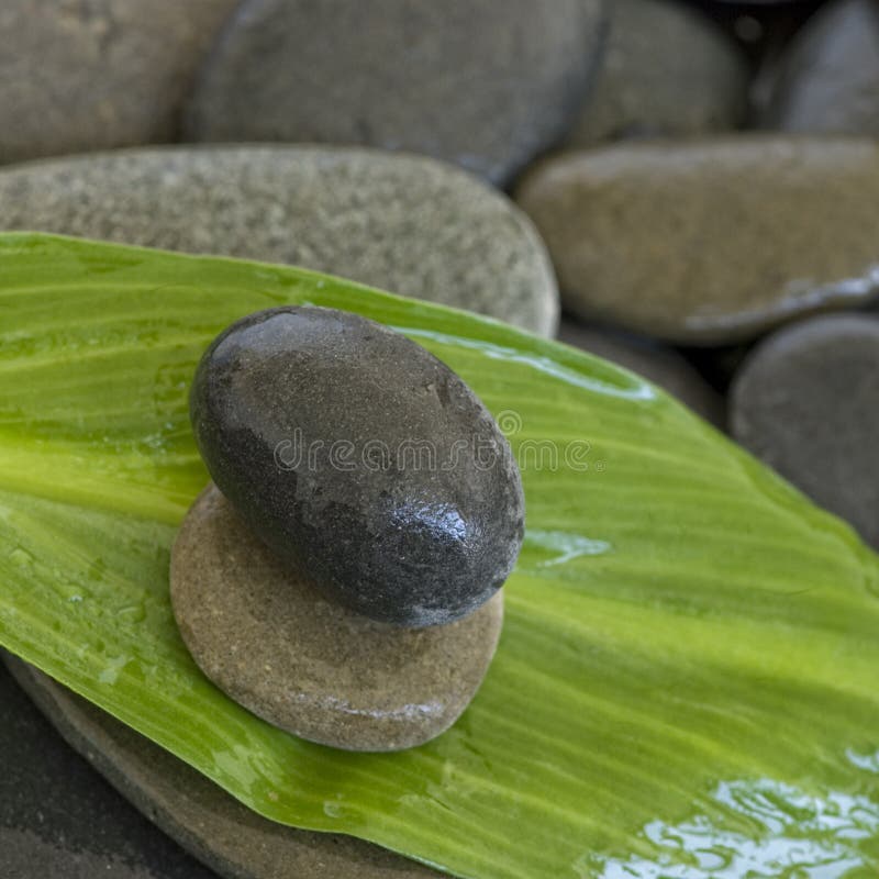 Green leaf and pebble stock photo. Image of still, detail - 9715934