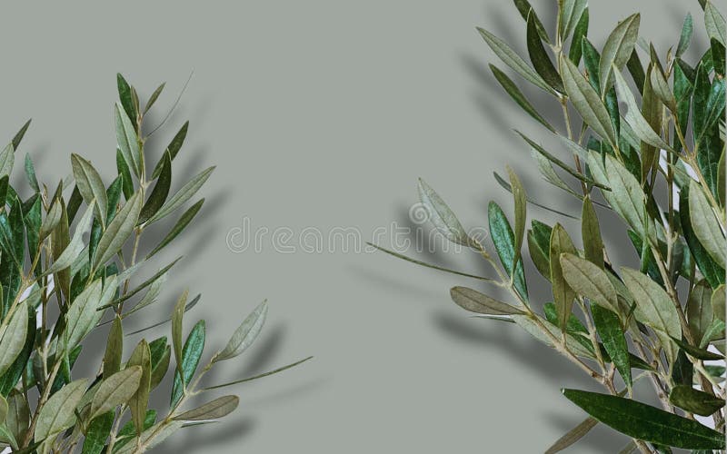 Green Leaf Plant on Negative Background Frame Stock Photo - Image of ...
