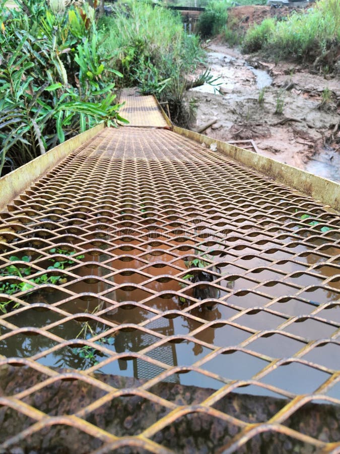 Green Leaf Plant Texture on the Ground Near the Water Channel 6 Stock ...
