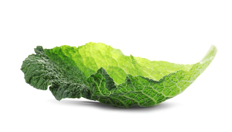 Green Leaf of Savoy Cabbage Stock Photo - Image of ripe, product: 131107562