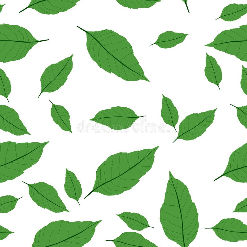 Green Leaf Seamless Pattern Isolated on White Background Stock Vector ...