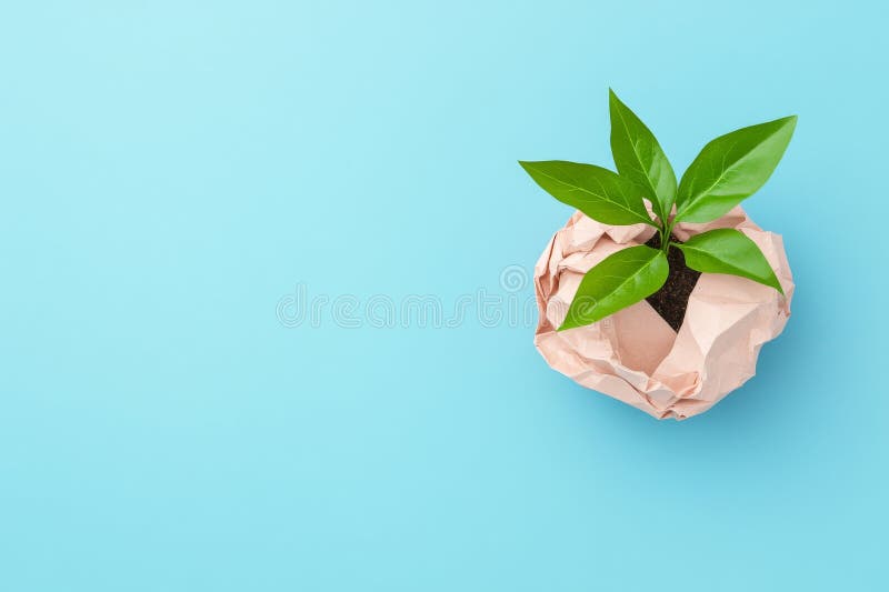 A Green Leaf Sprout Emerging from Craft Paper, Symbolizing an Eco ...