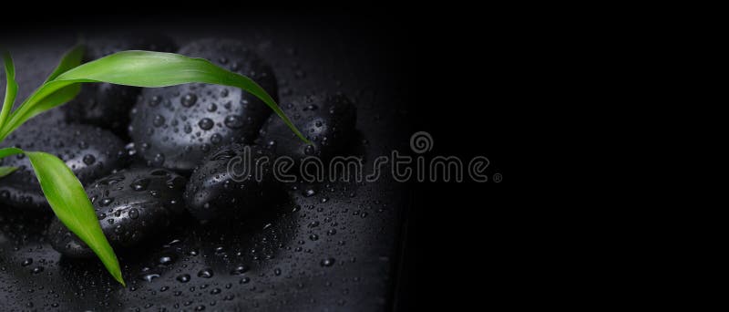 Green Leaf and Stack of Stone. Horizontal Long Nature Background Stock ...