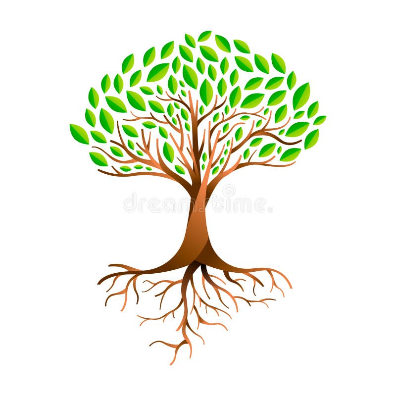 Green Leaf Tree with Branches and Roots Stock Vector - Illustration of ...