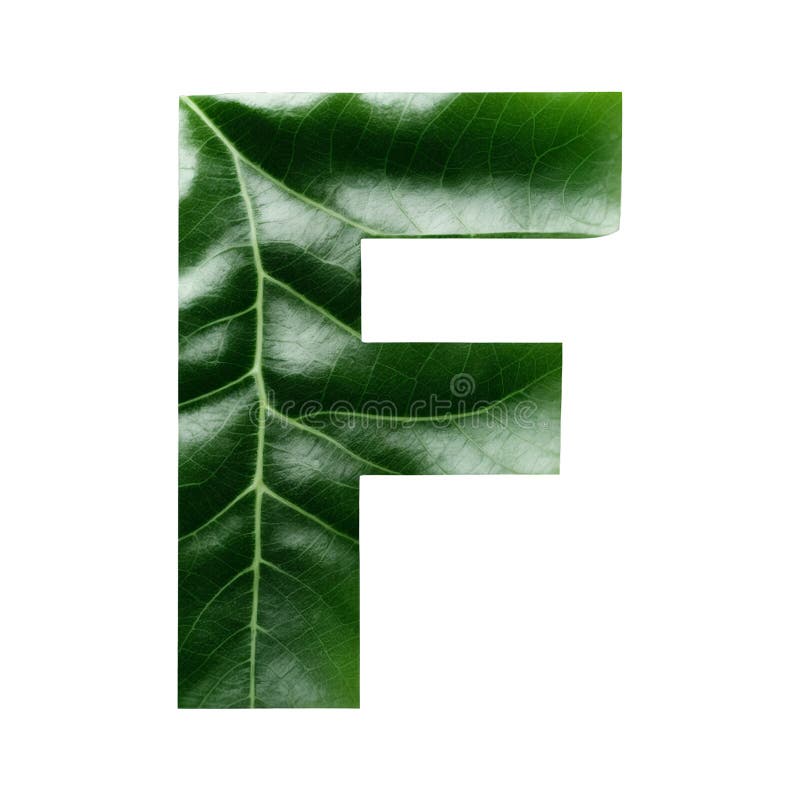 Green Leaf Typography Text Design Uppercase Alphabet F Stock Image ...
