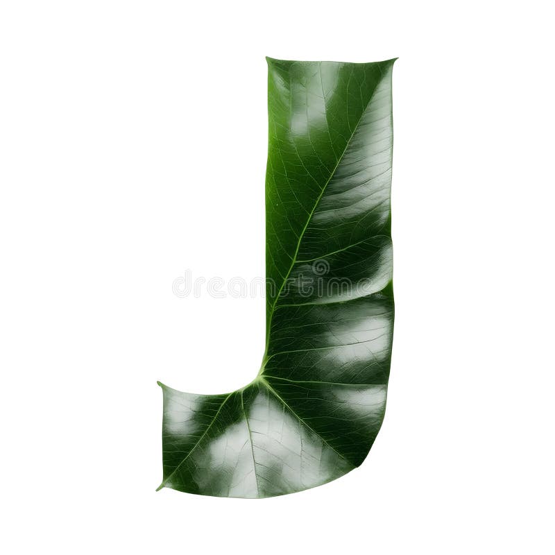 Green Leaf Typography Text Design Uppercase Alphabet J Stock Photo ...