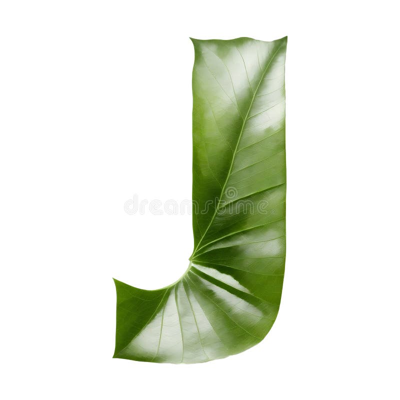 Green Leaf Typography Text Design Uppercase Alphabet J Stock Photo ...