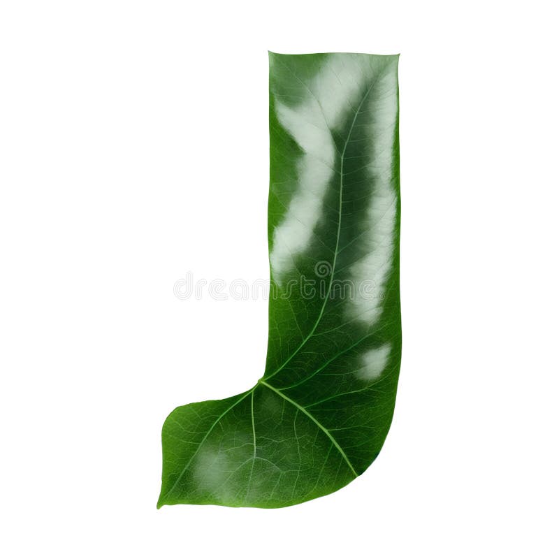 Green Leaf Typography Text Design Uppercase Alphabet J Stock Photo ...