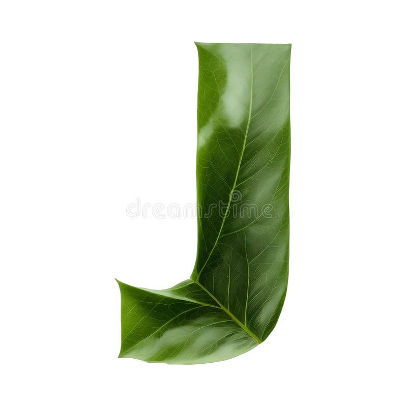 Green Leaf Typography Text Design Uppercase Alphabet J Stock Image ...