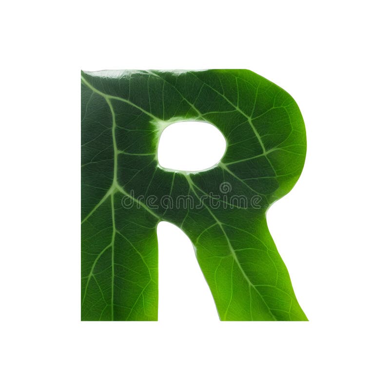 Green Leaf Typography Text Design Uppercase Alphabet R Stock Photo ...